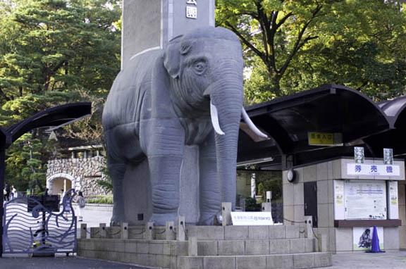 Tama Zoo│JAPAN IS ODD