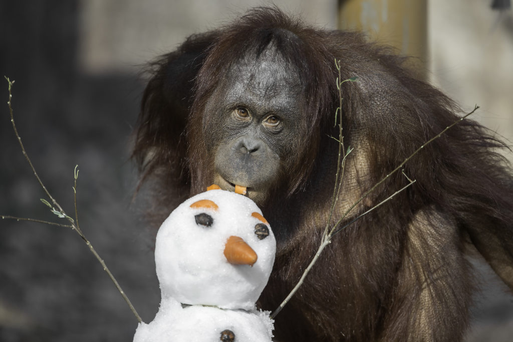 Tama Zoo│JAPAN IS ODD